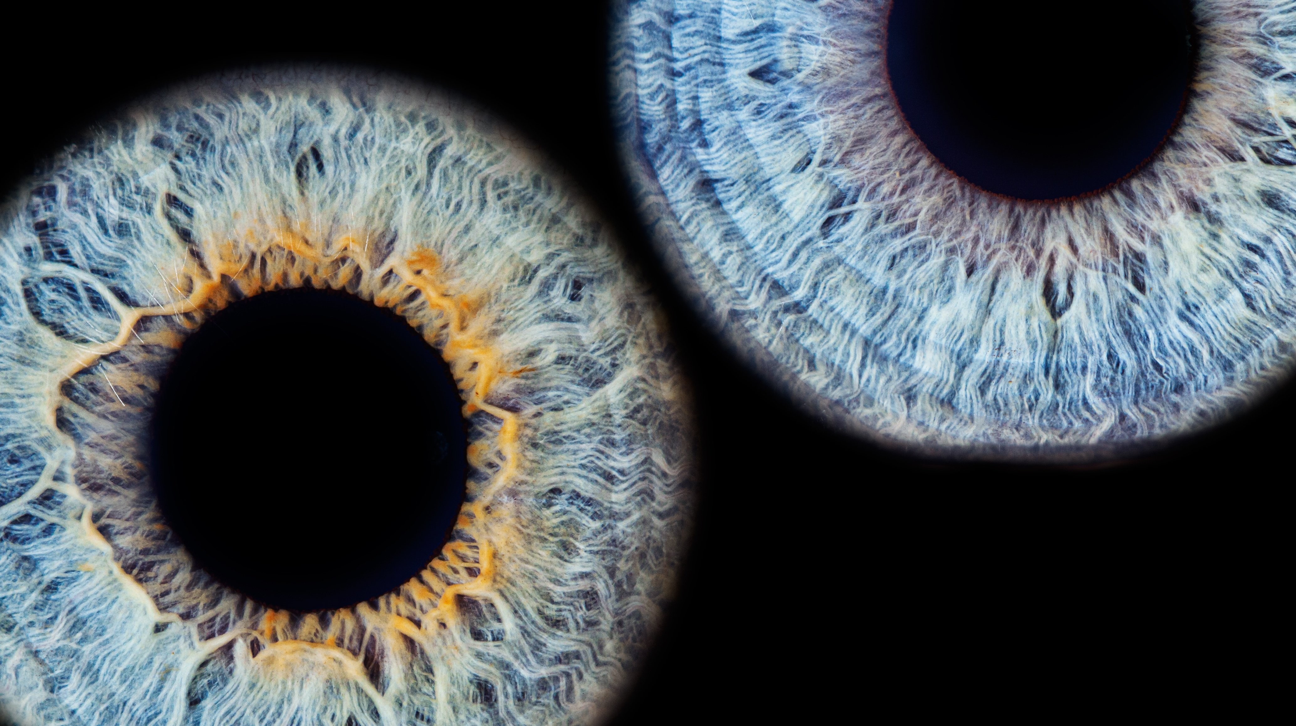 Maeva Mene, Naturopathe - Iridologue, conseillère en fleurs de Bach, à ...